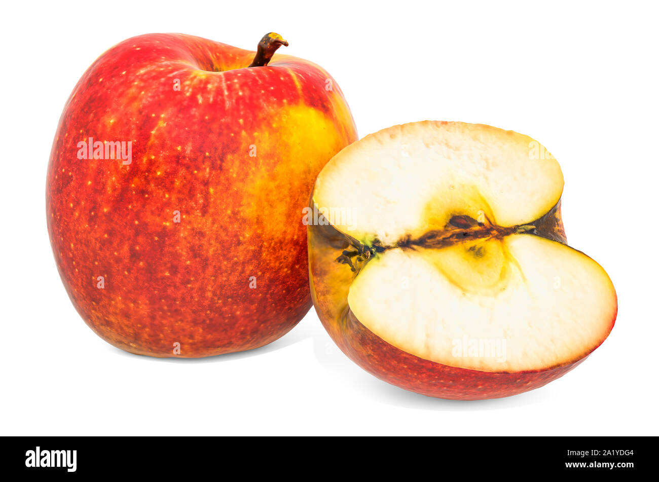 Red Apple and its cross-section 3d rendering with realistic texture ...