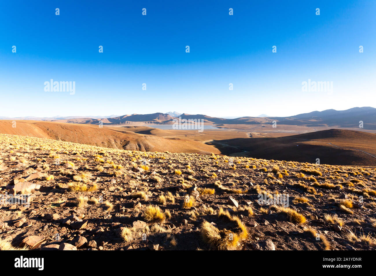 Morejon lagoon hi-res stock photography and images - Alamy