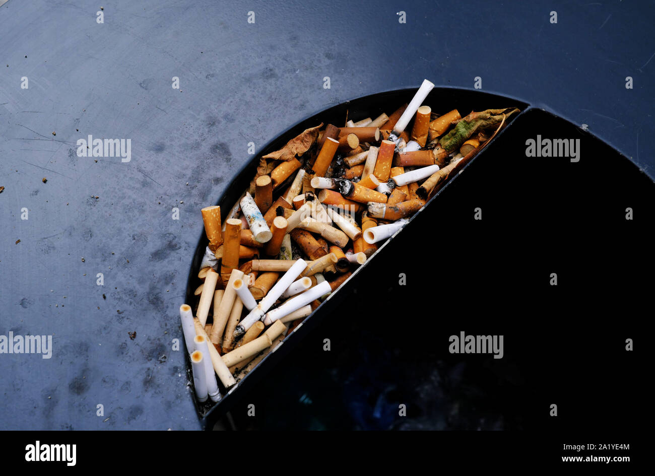 abundance of cigarette butts in a public trash bin in the street ...