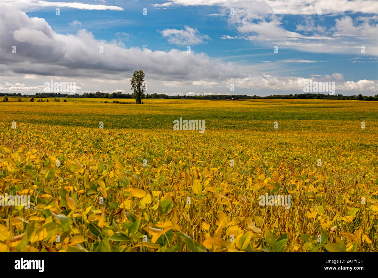 Indiana farming agriculture hi-res stock photography and images - Alamy