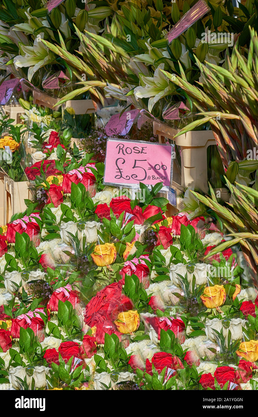 Roses for sale hi-res stock photography and images - Alamy