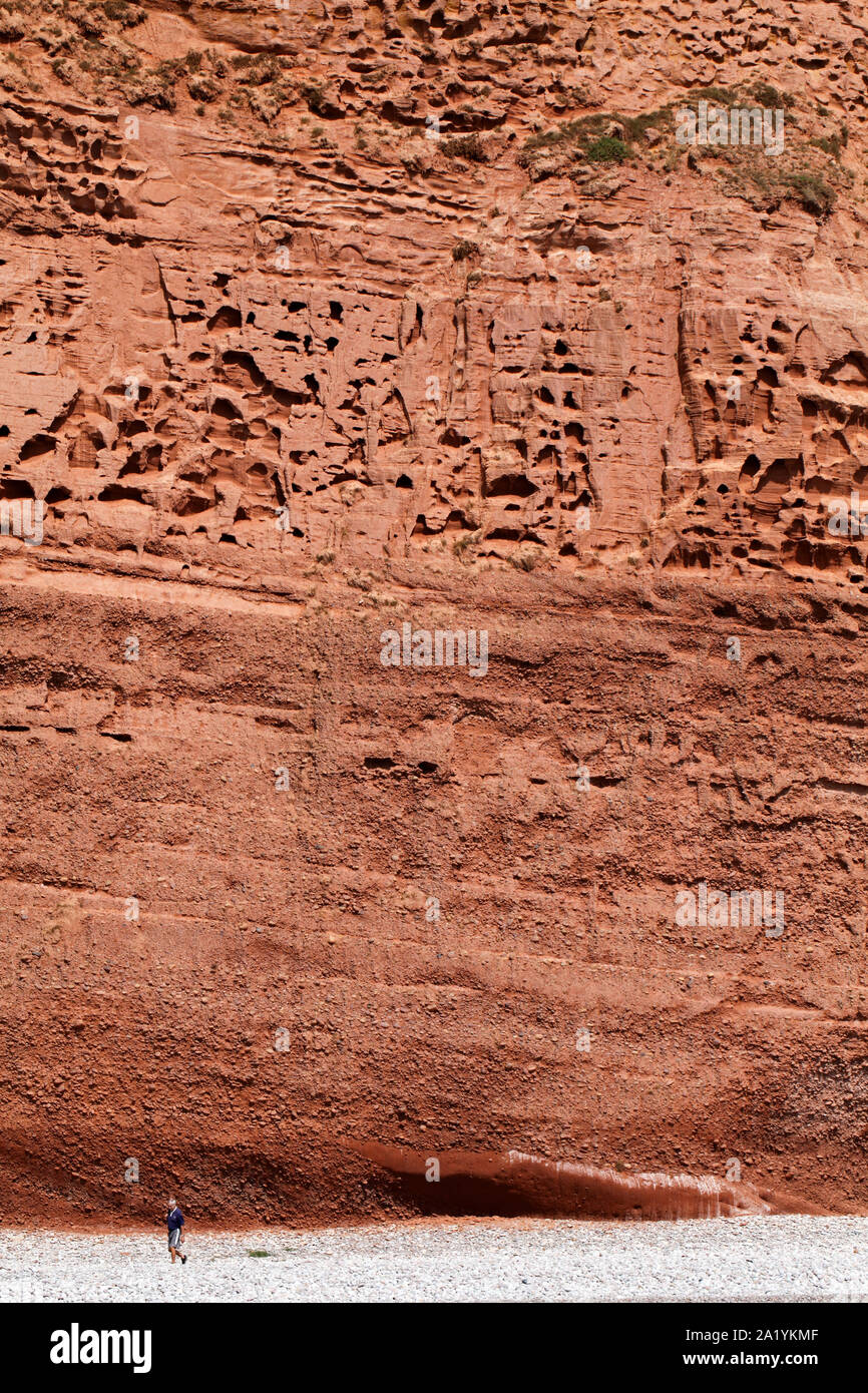Towering red sandstone cliffs on the East Devon coast. UK. Rock, strata ...