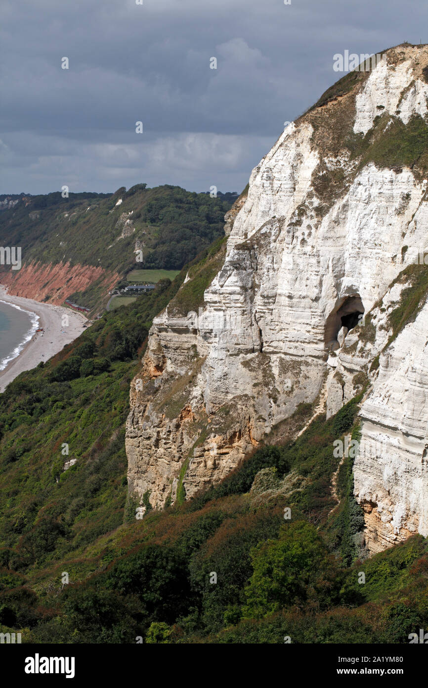 Cave in the cliff face of Hooken Chalk Cliffs, Near Branscombe and Beer ...