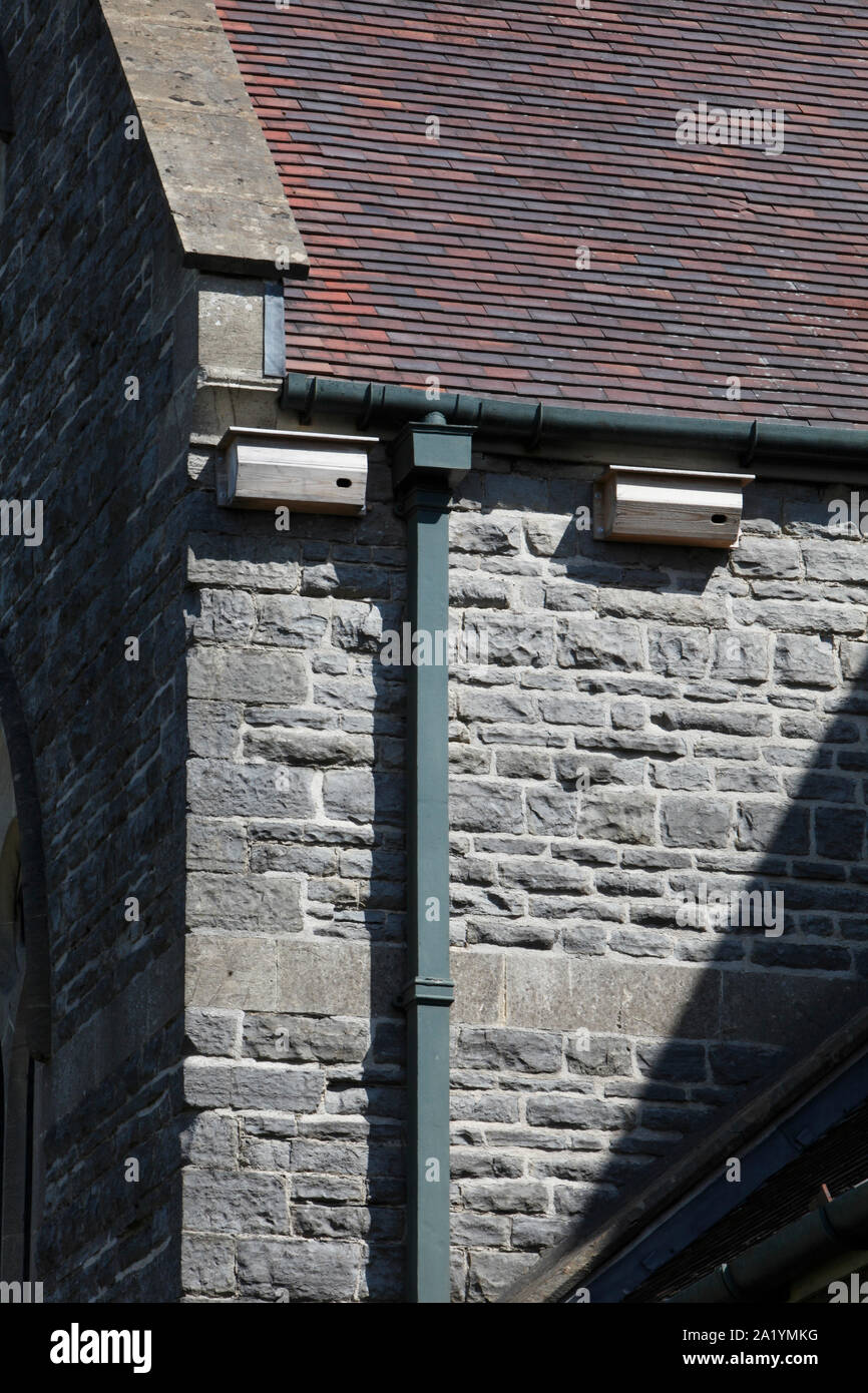 Swift boxes hi-res stock photography and images - Alamy