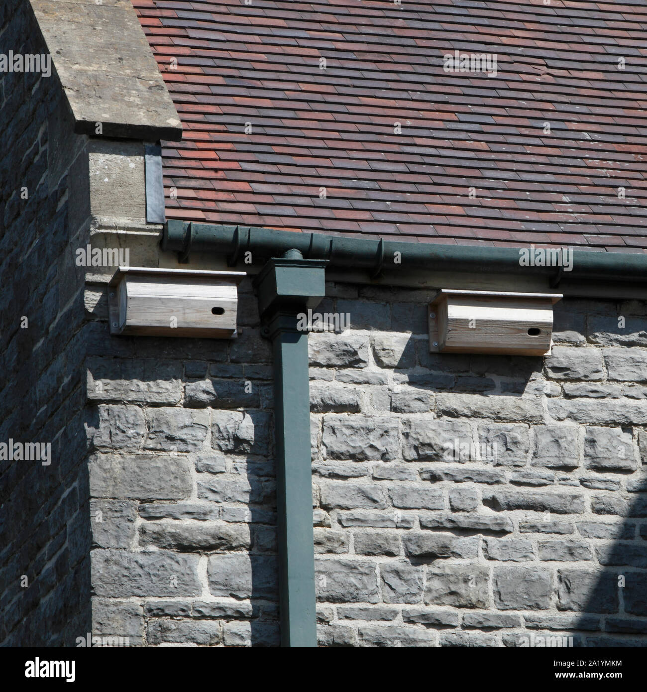 Swift nesting boxes on a the side of a church Stock Photo - Alamy