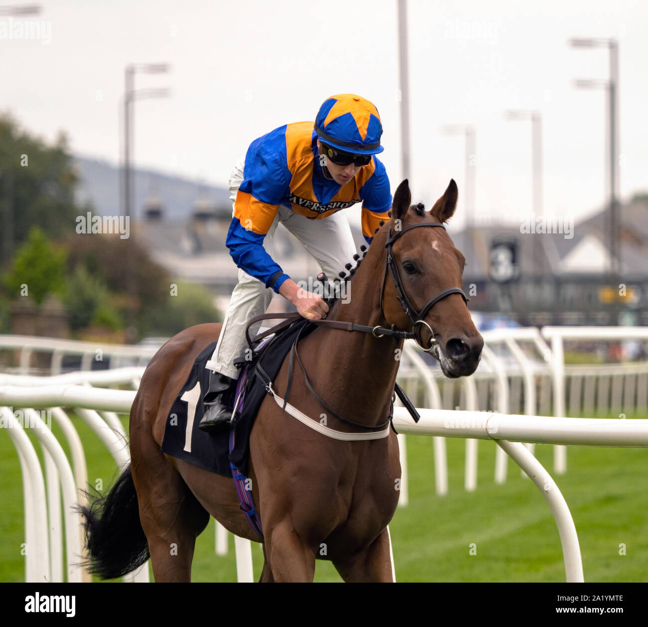 Trained by richard fahey hi-res stock photography and images - Alamy