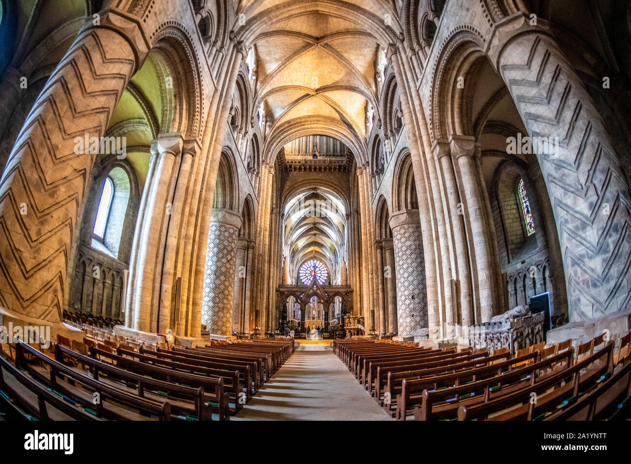 The rib vaulted ceilings within Durham Cathedral, Durham, United ...