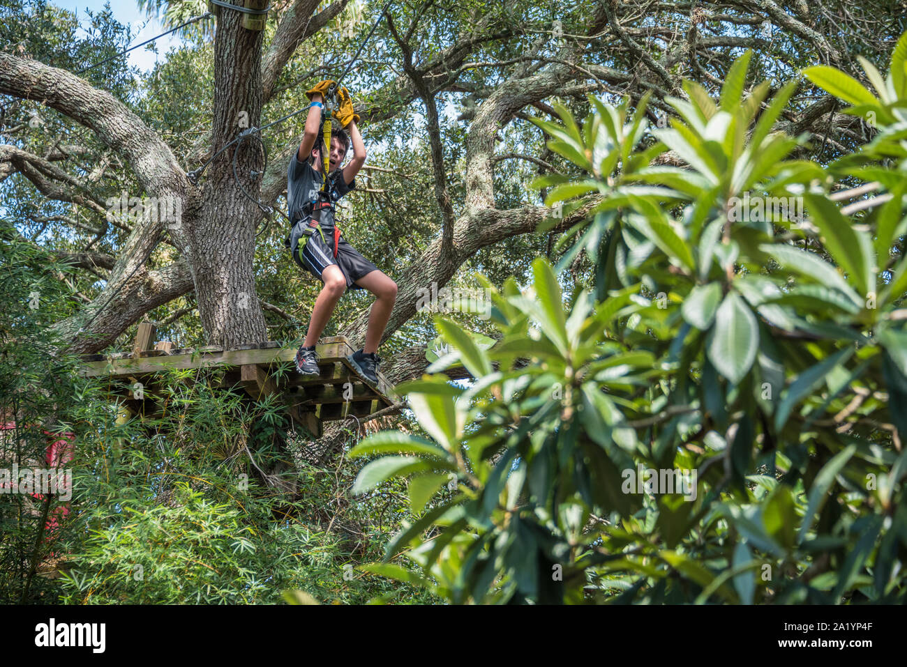 Crocodile crossing zip line hi-res stock photography and images - Alamy