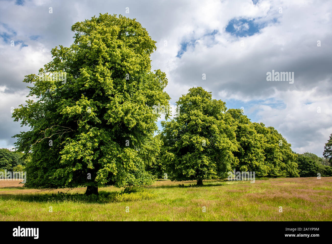 Kiplin hall gardens hi-res stock photography and images - Alamy