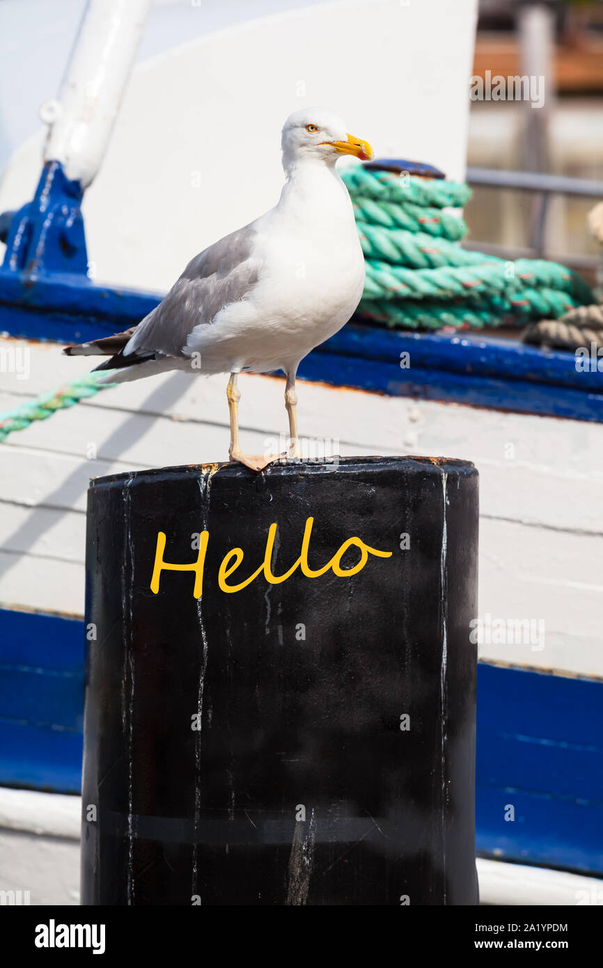 Hello bollard hi-res stock photography and images - Alamy