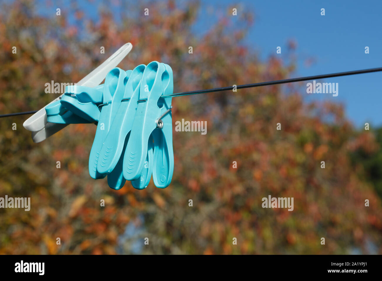 Clothes pins on a washing line in a garden Stock Photo - Alamy