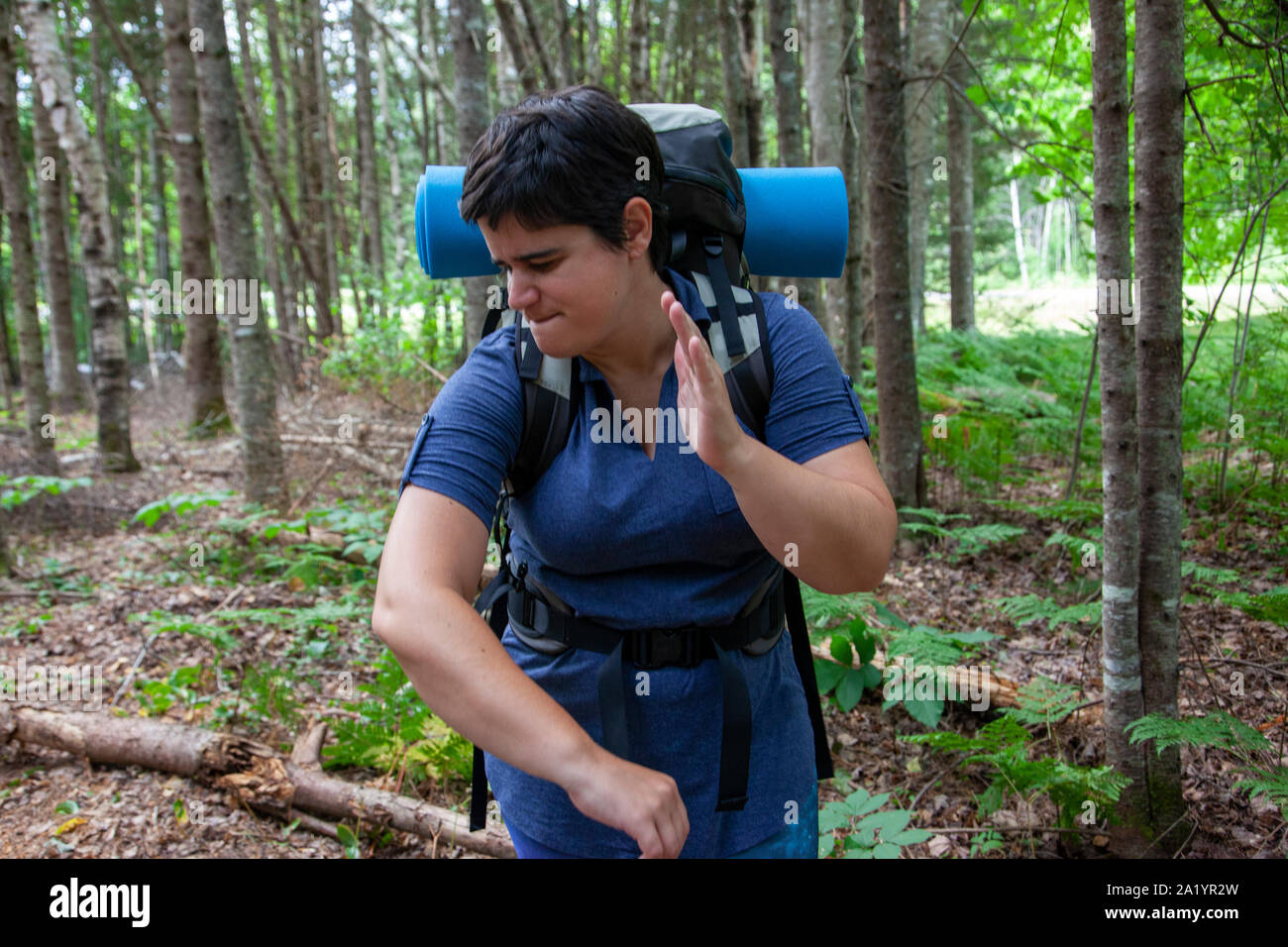 hitting a nuisance bug while in the woods Stock Photo - Alamy