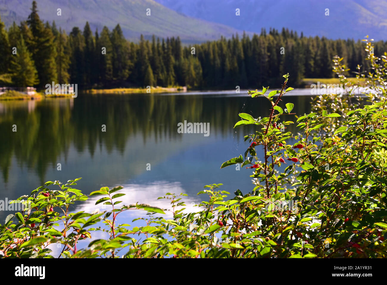 A smooth surface on Johnson lake is reflecting the nearby beauty of the ...