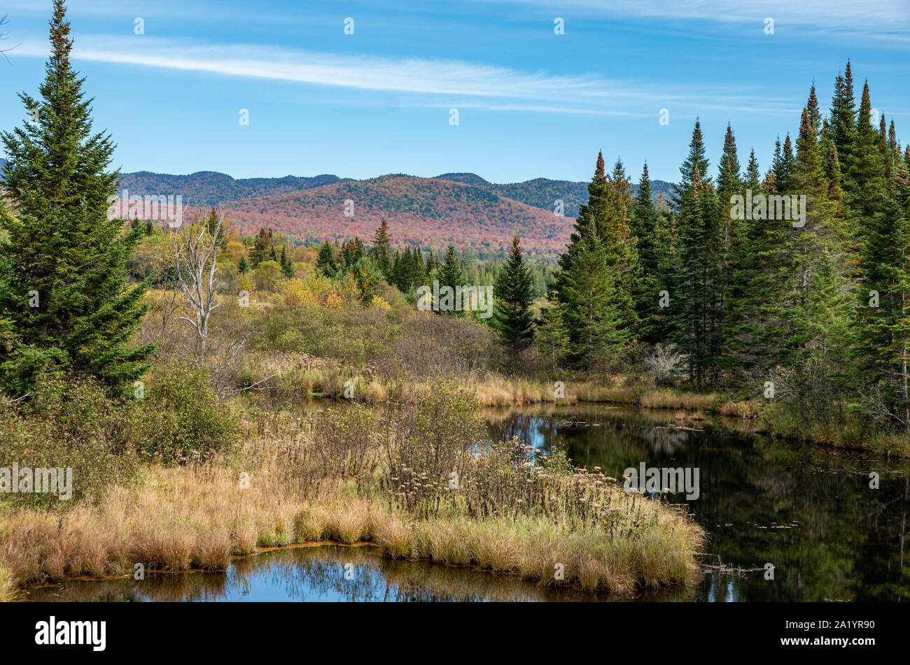 Fall foliage in the Adirondack Mountains along the Wilmington flume ...