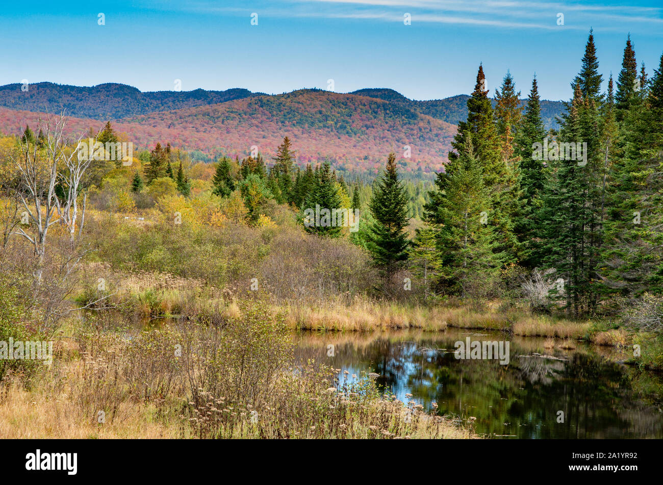 Fall foliage in the Adirondack Mountains along the Wilmington flume ...