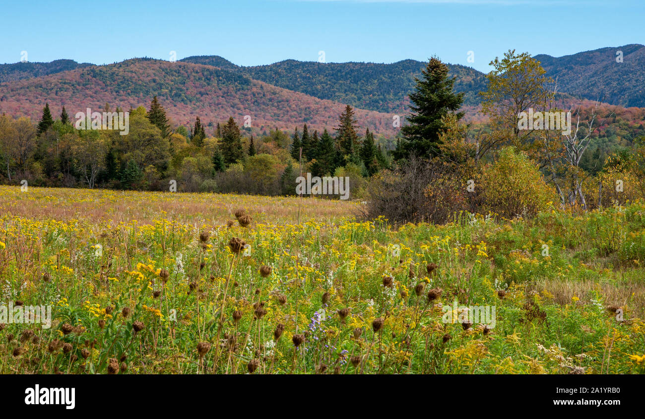 Fall foliage in the Adirondack Mountains along the Wilmington flume ...