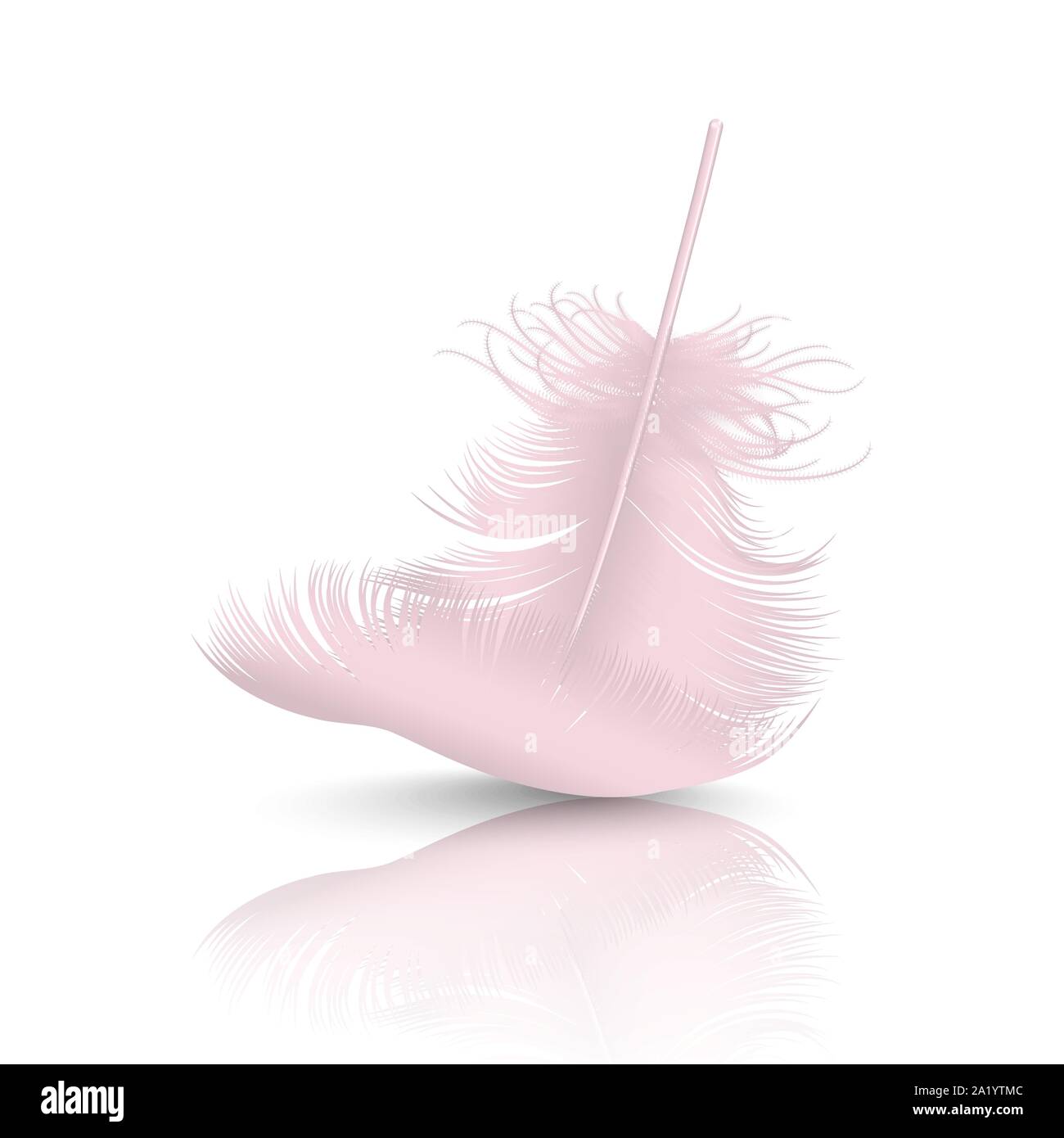 Vector 3d Realistic Falling Pink Flamingo Fluffy Twirled Feather with ...