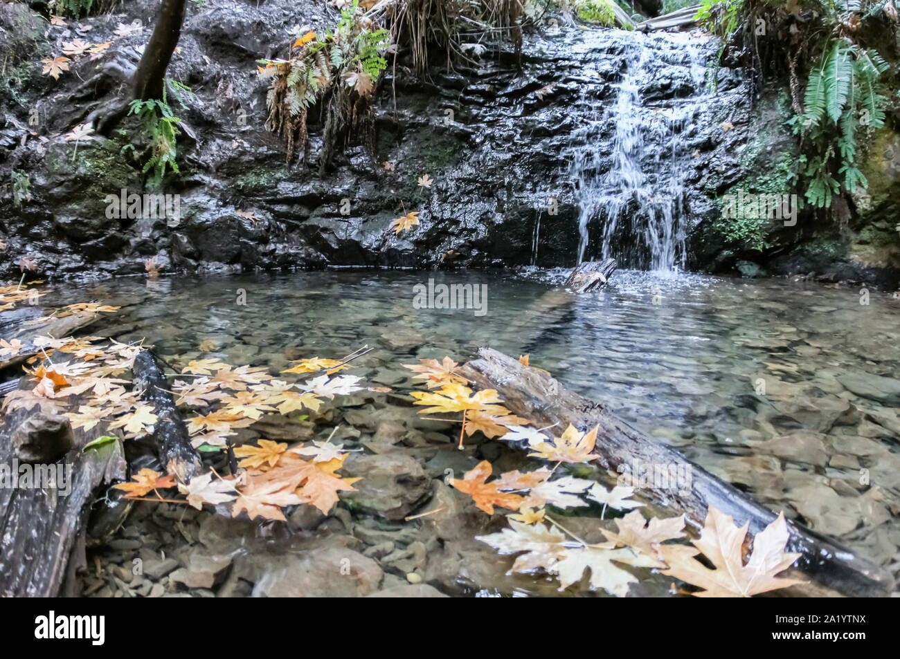 Tiptoe hi-res stock photography and images - Alamy