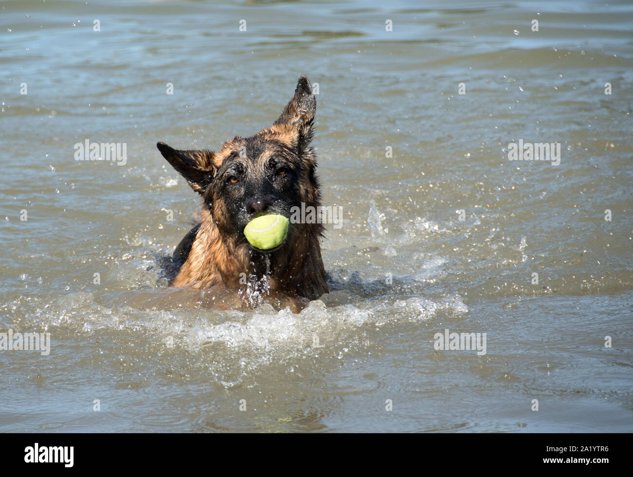 Howarth park hi-res stock photography and images - Alamy