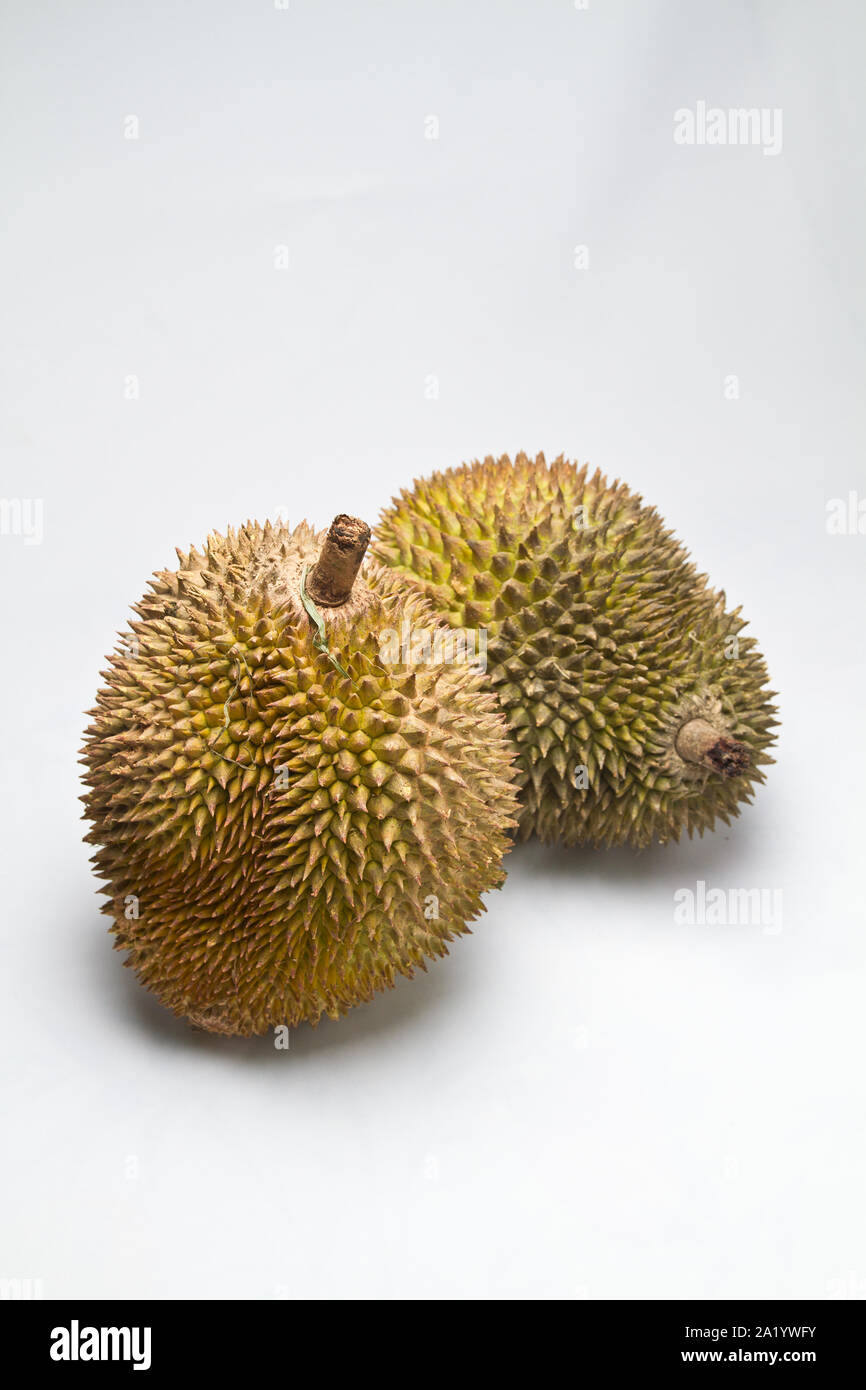 two unopened whole durians isolated on white surface in portrait ...