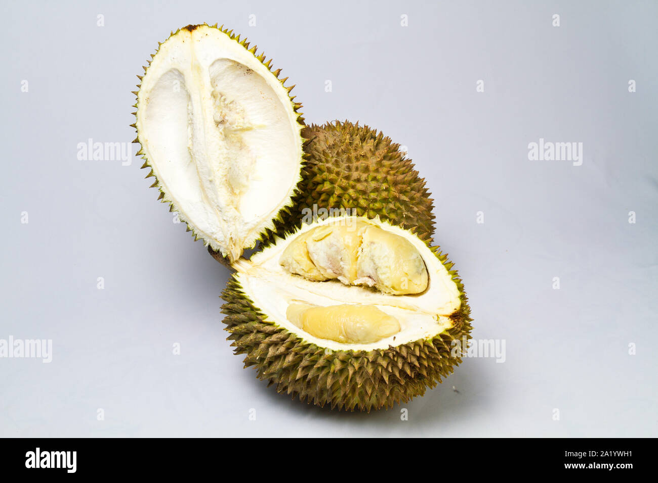 Durian spikes hi-res stock photography and images - Alamy
