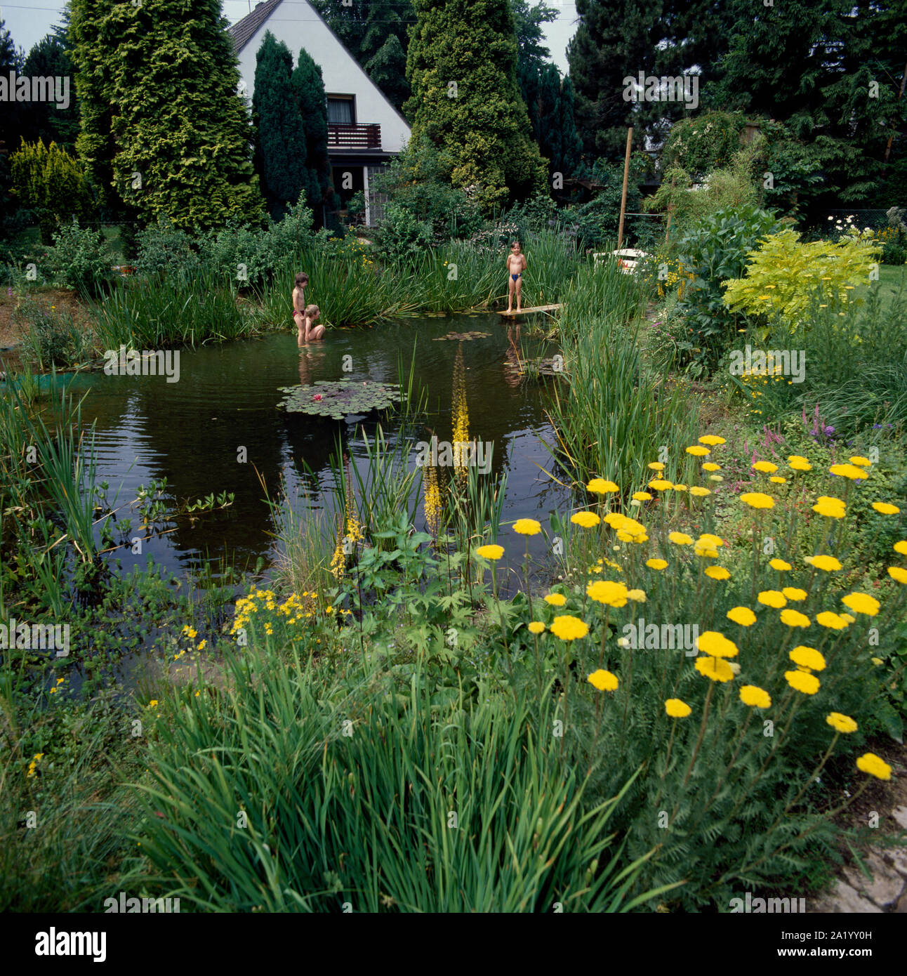 Fresh water pond hi-res stock photography and images - Alamy