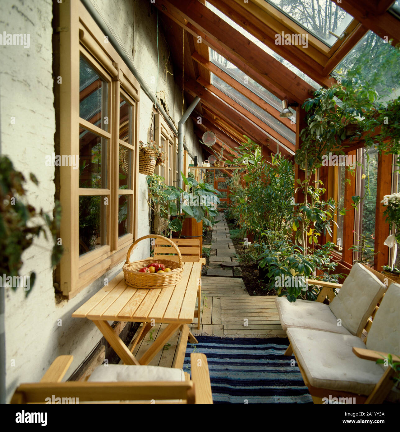 Plant filled glass lean-to extension Stock Photo - Alamy