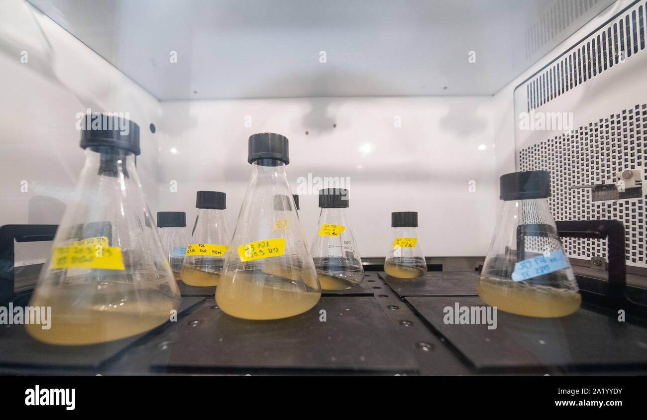 Friedrich miescher hi-res stock photography and images - Alamy