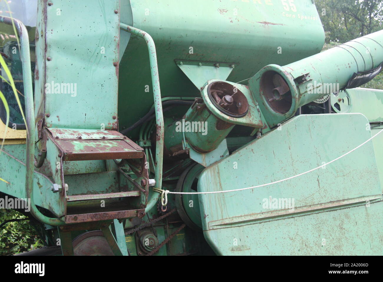 Corn shoot hi-res stock photography and images - Alamy