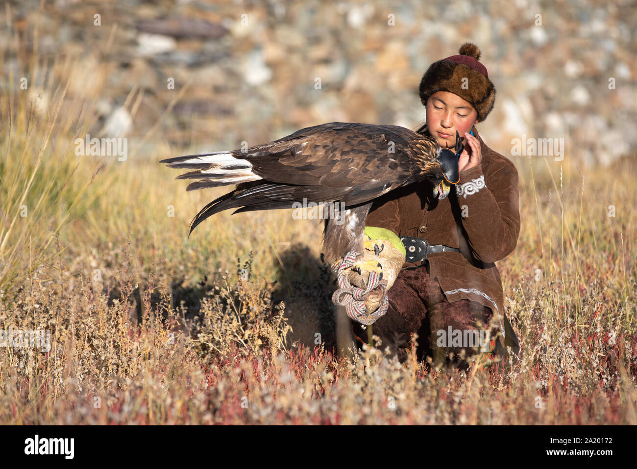 Traditional kazakh eagle huntress petting her golden eagle that is used ...