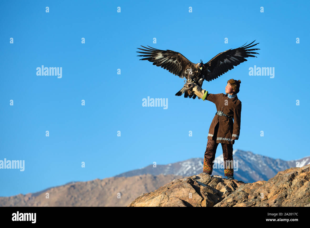 Eagle with a rabbit as a prey hi-res stock photography and images - Alamy