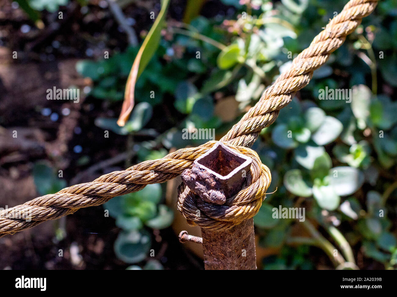 A thick rope looped around a rusted stake image with copy space in ...