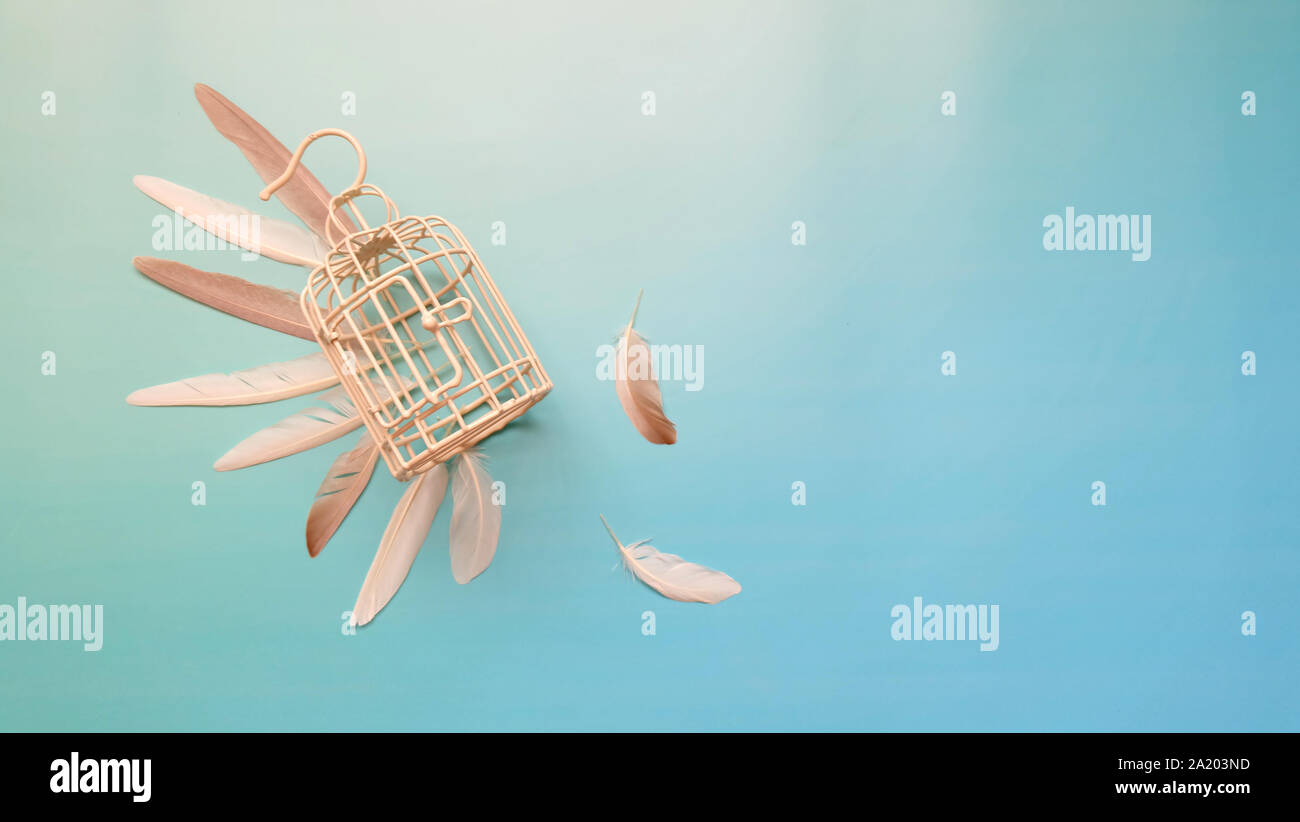 Empty bird cage hi-res stock photography and images - Alamy