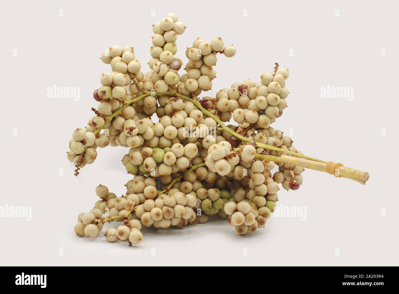 Rattan fruit isolated on white background Stock Photo - Alamy
