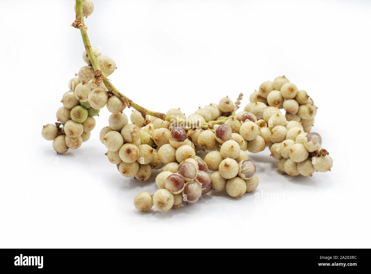 Rattan fruit isolated on white background Stock Photo - Alamy
