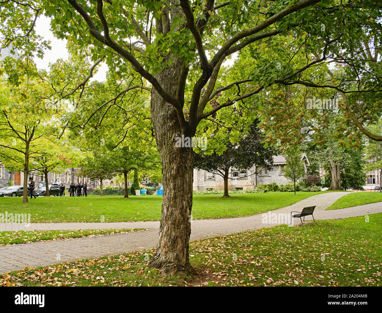 University of Toronto Stock Photo - Alamy