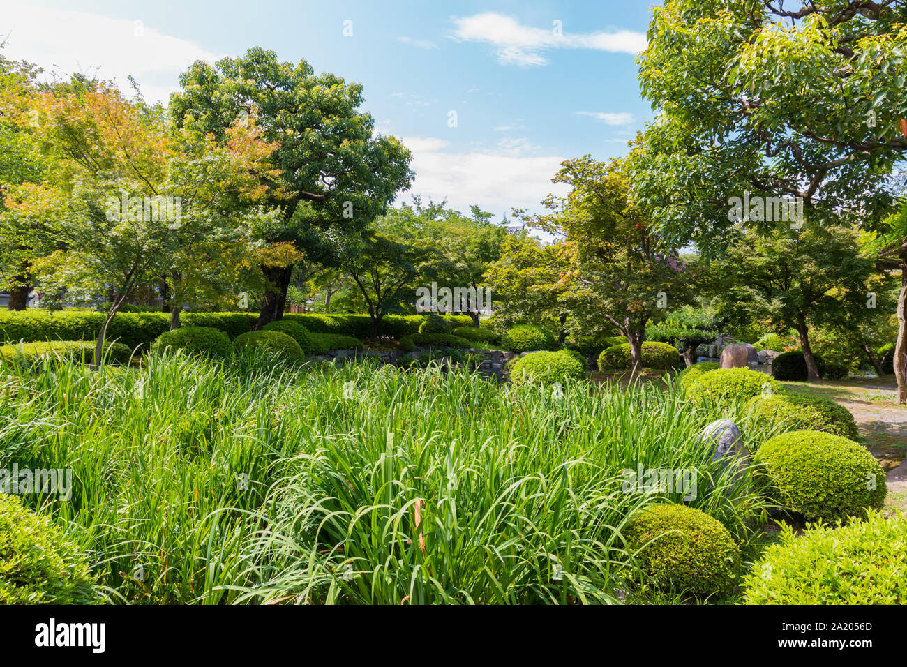 Beautiful garden in daytime outdoor nature background. evergreen garden ...