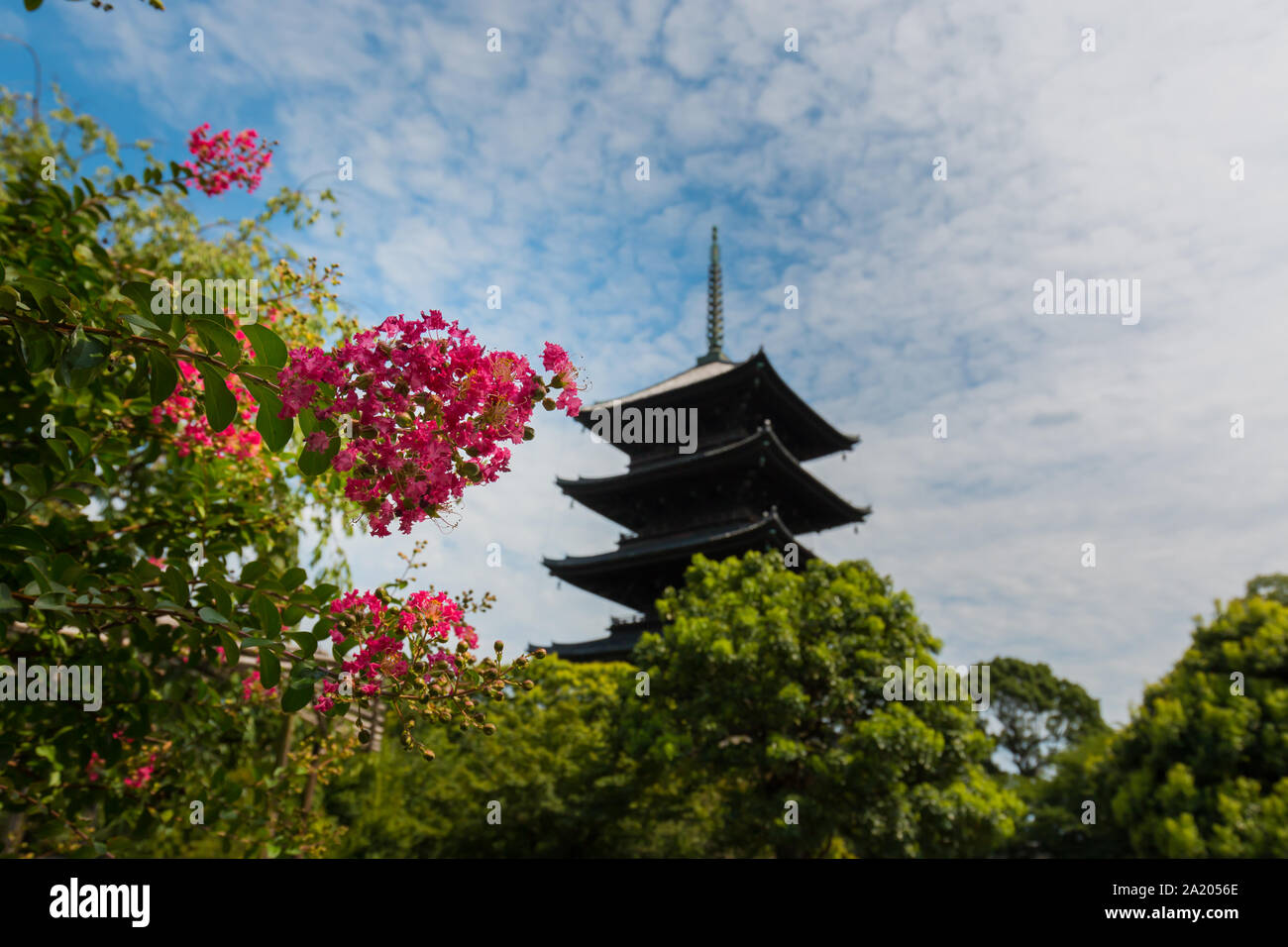 Toji temple located in Kyoto, Japan. Toji temple is a Buddhist temple ...