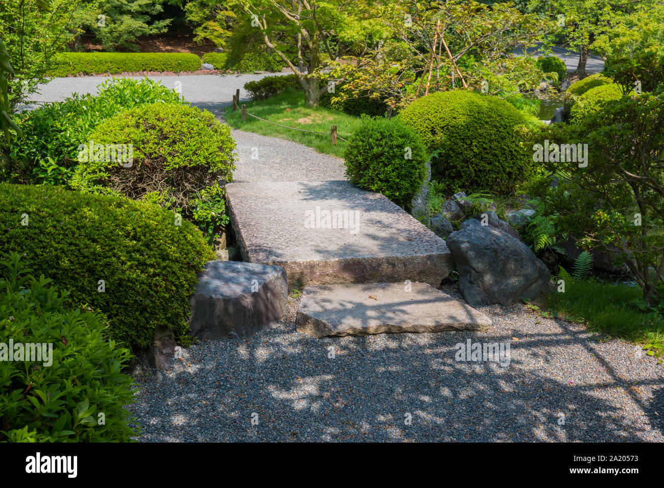 Beautiful garden in daytime outdoor nature background. evergreen garden ...