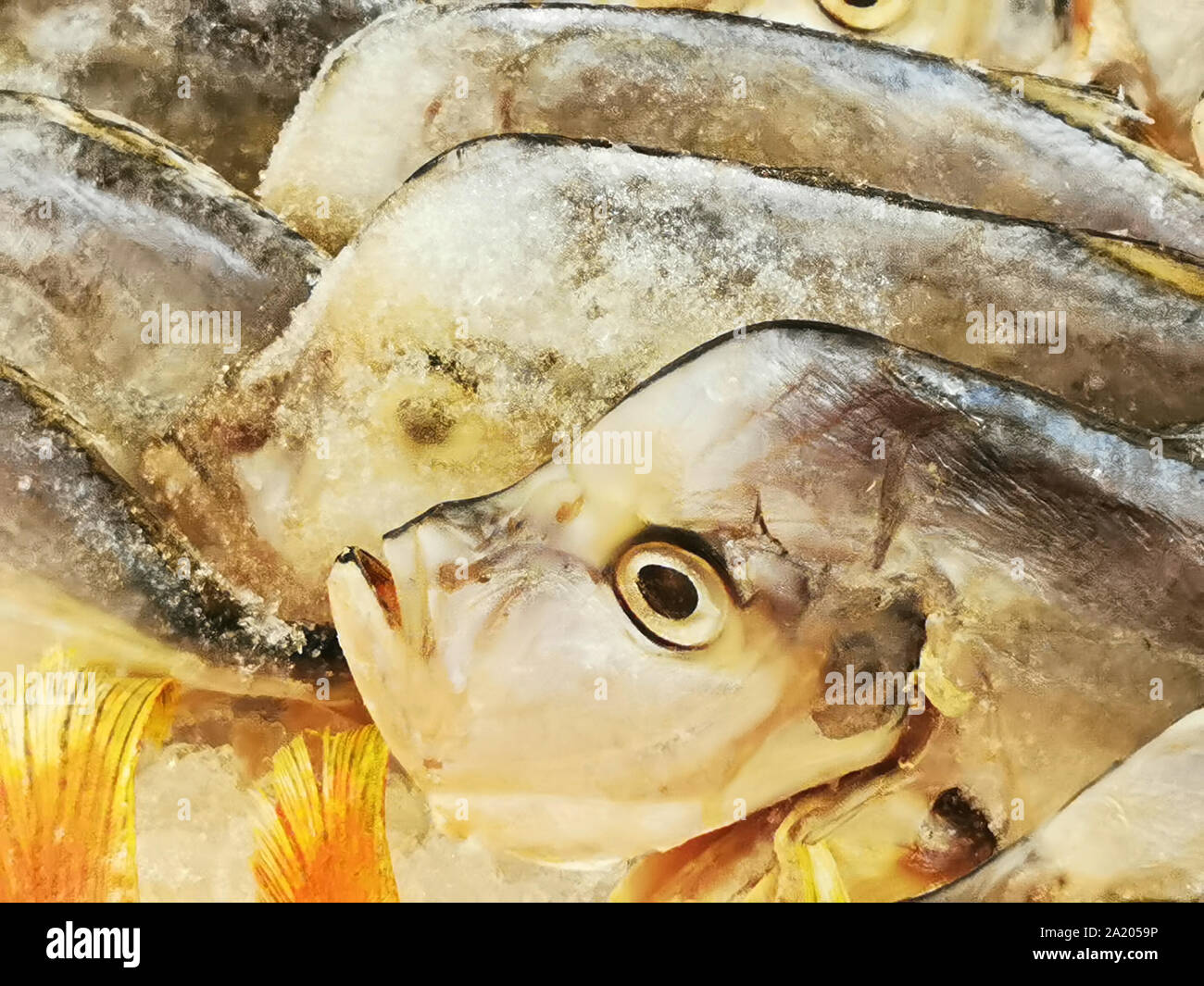 Fresh fish on market. Close up shot Stock Photo - Alamy