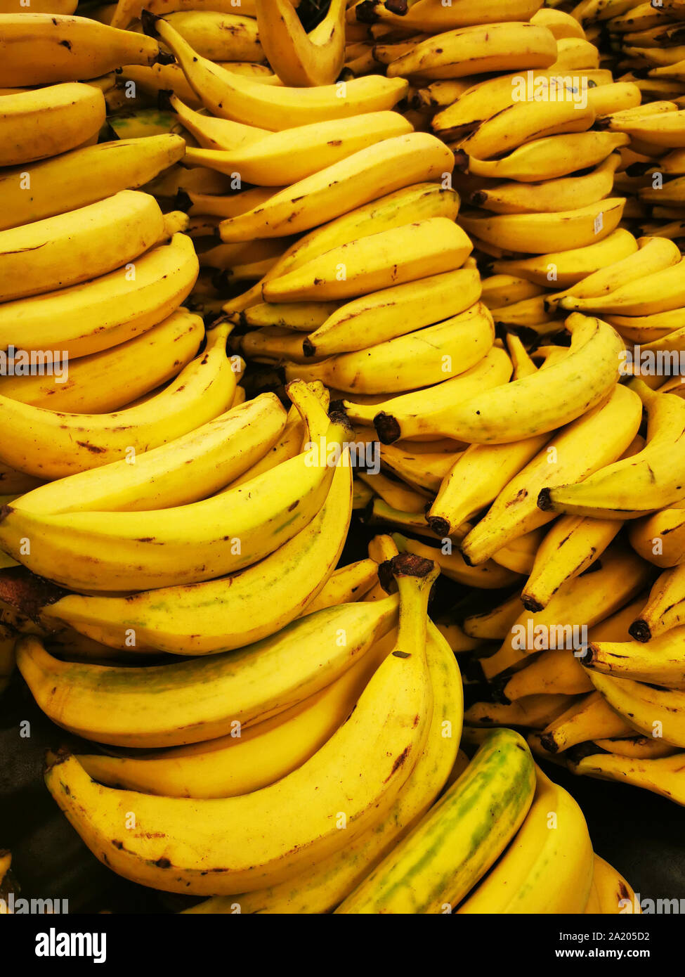 Non GMO Raw Organic Bunch of Bananas stacked Ready to Eat Stock Photo ...