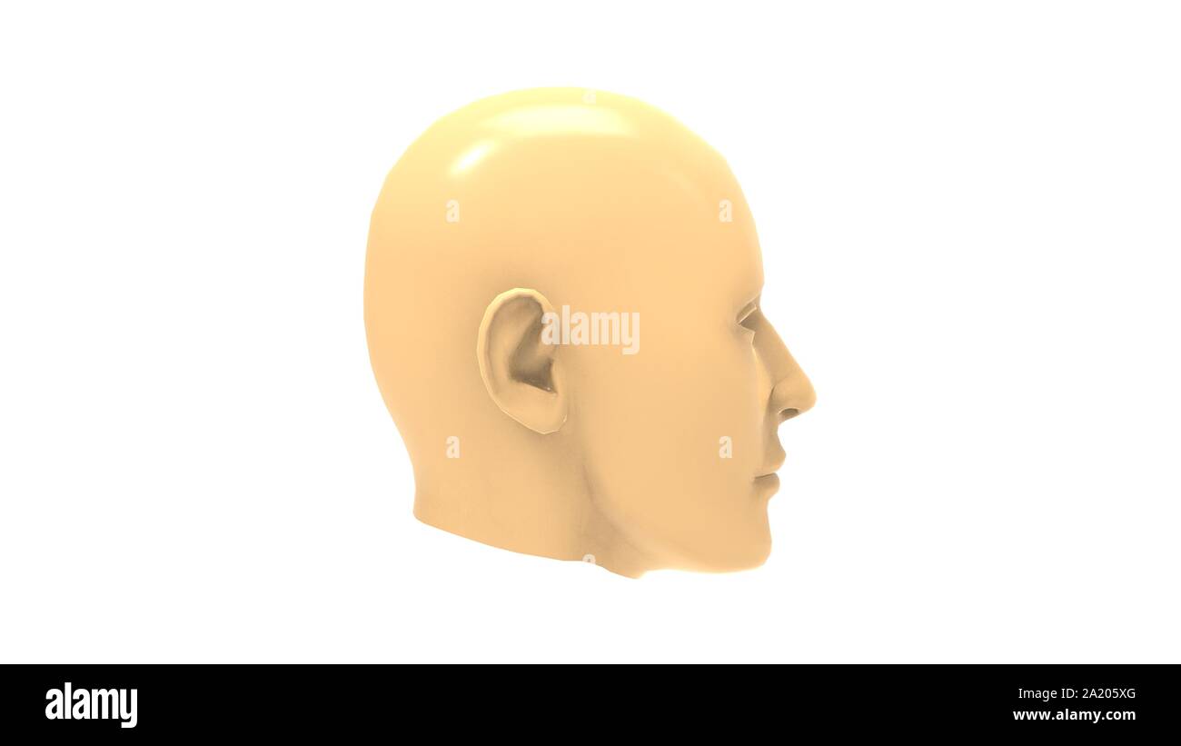 3d rendering of a human face isolated in white background Stock Photo ...