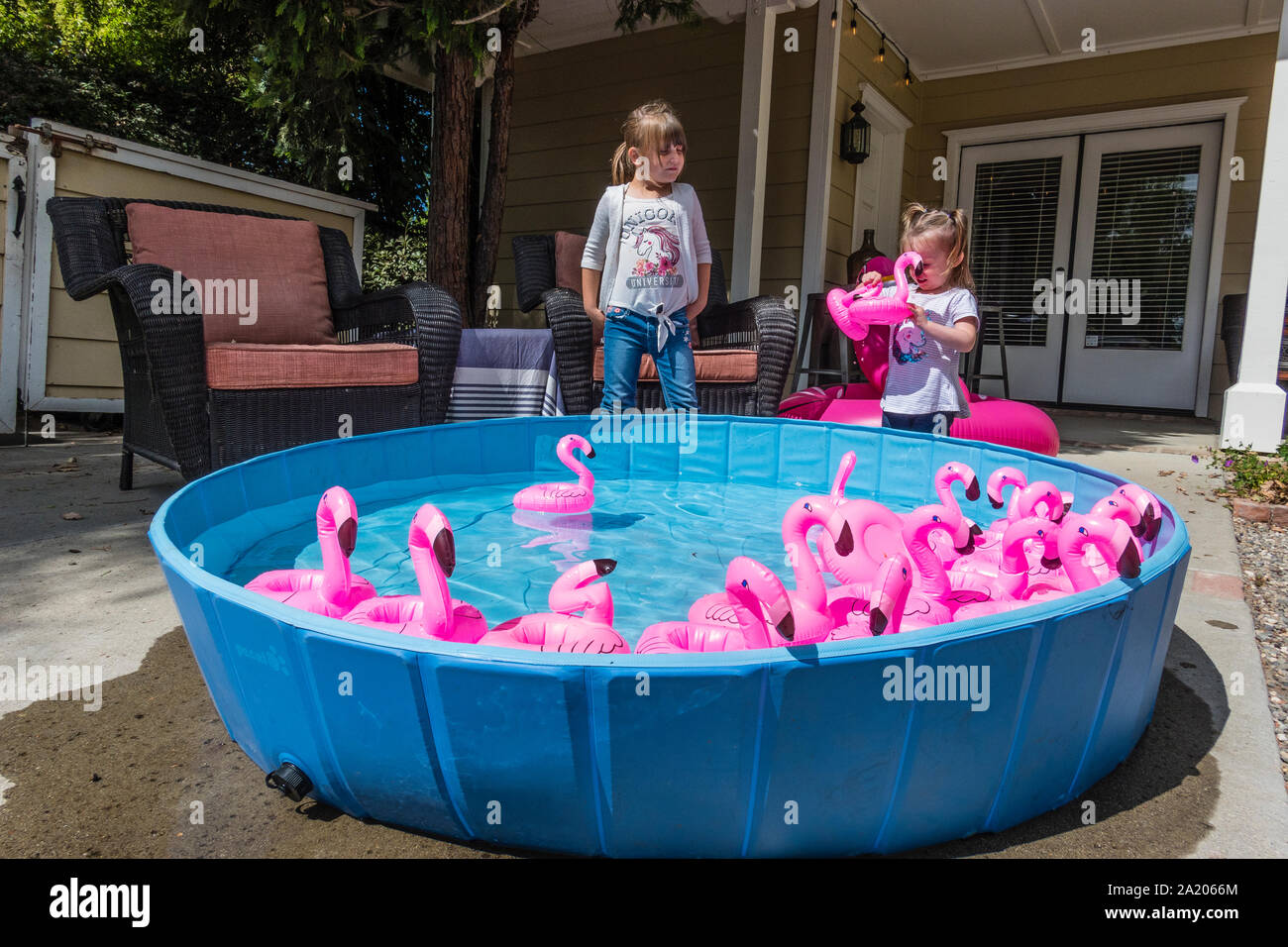 Plastic people in pool hi-res stock photography and images - Alamy