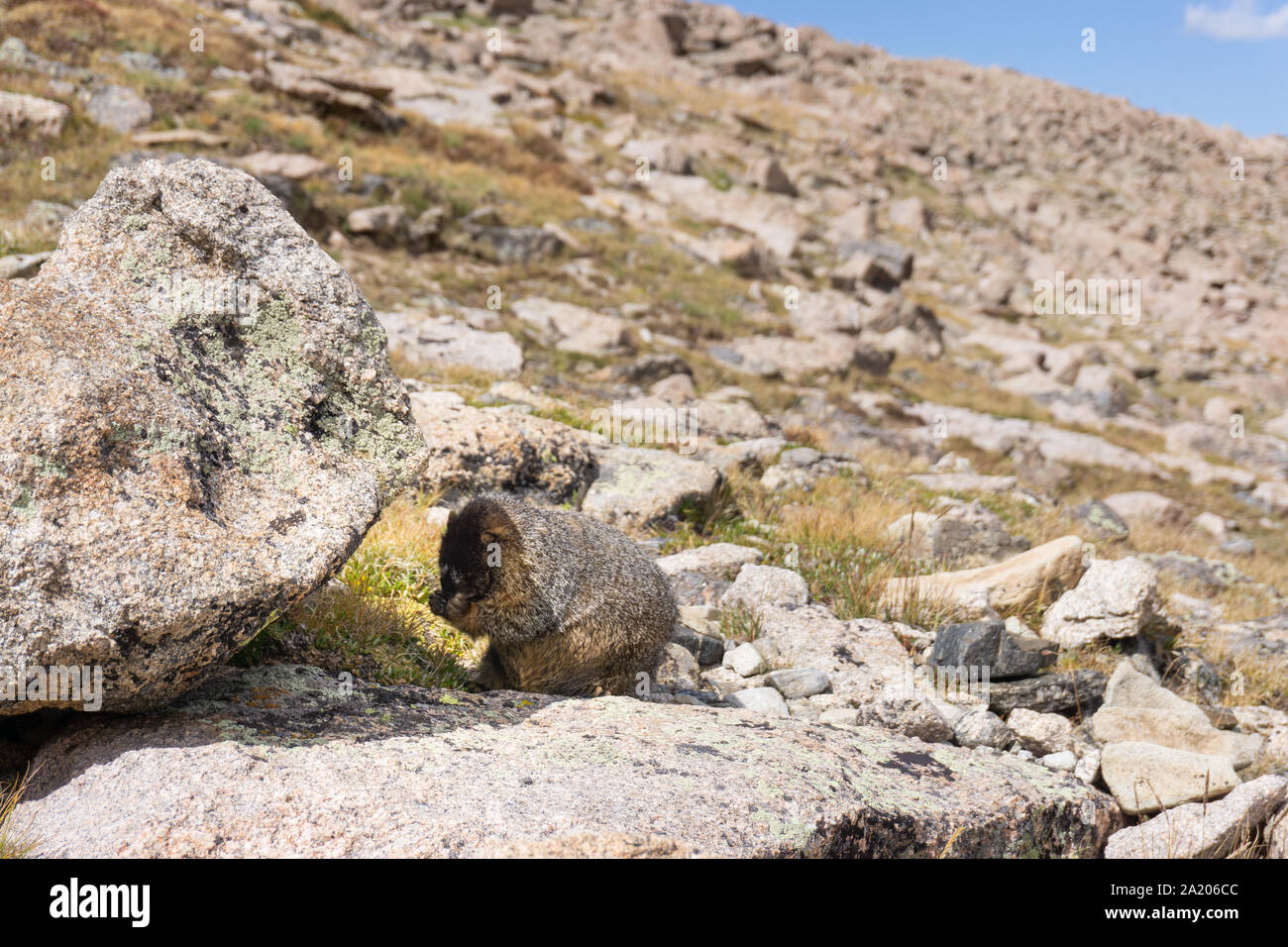 Longs peak boulder field hi-res stock photography and images - Alamy
