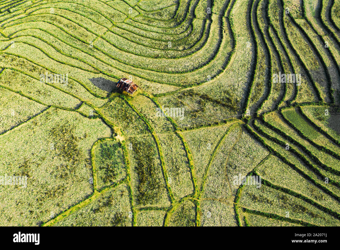 Rice terrace aerial hi-res stock photography and images - Alamy