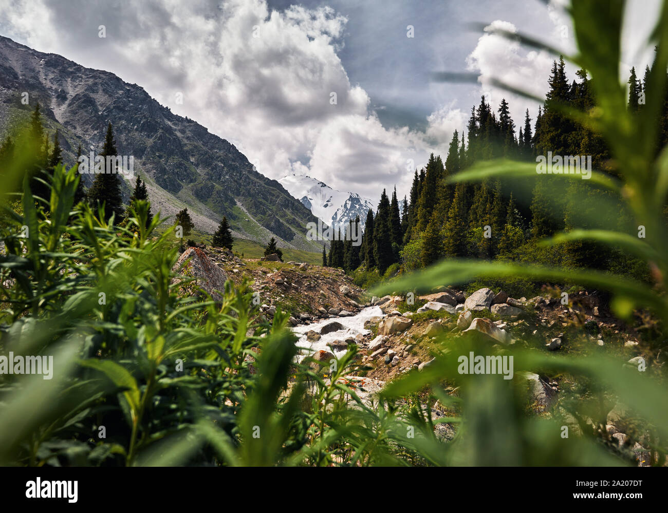 Landscape of mountain valley and river in Almaty, Kazakhstan Stock ...