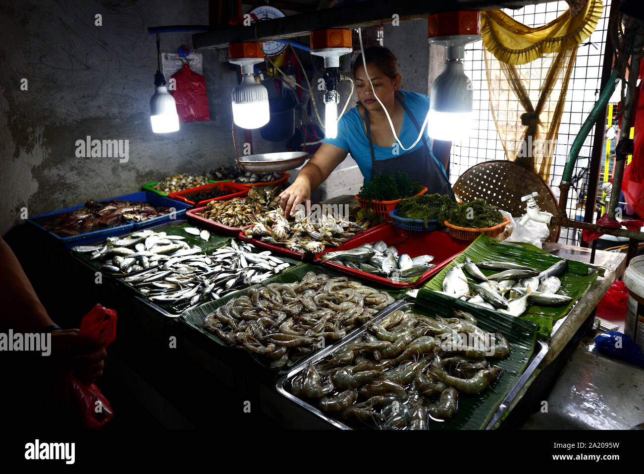 Fish sale fish market manila hi-res stock photography and images - Alamy