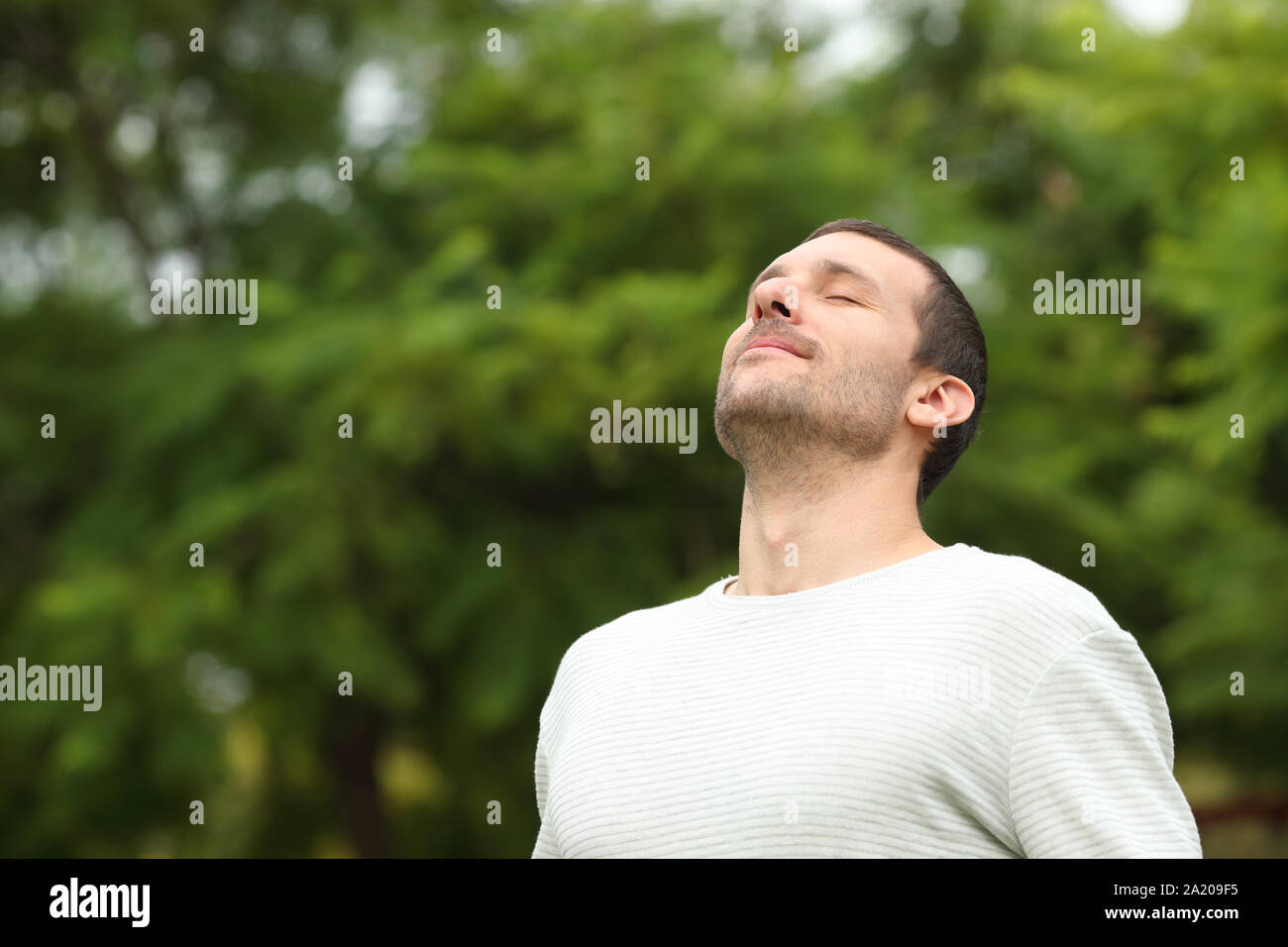 Relaxed adult man breathing fresh air in a forest with green trees in the background Stock Photo ...