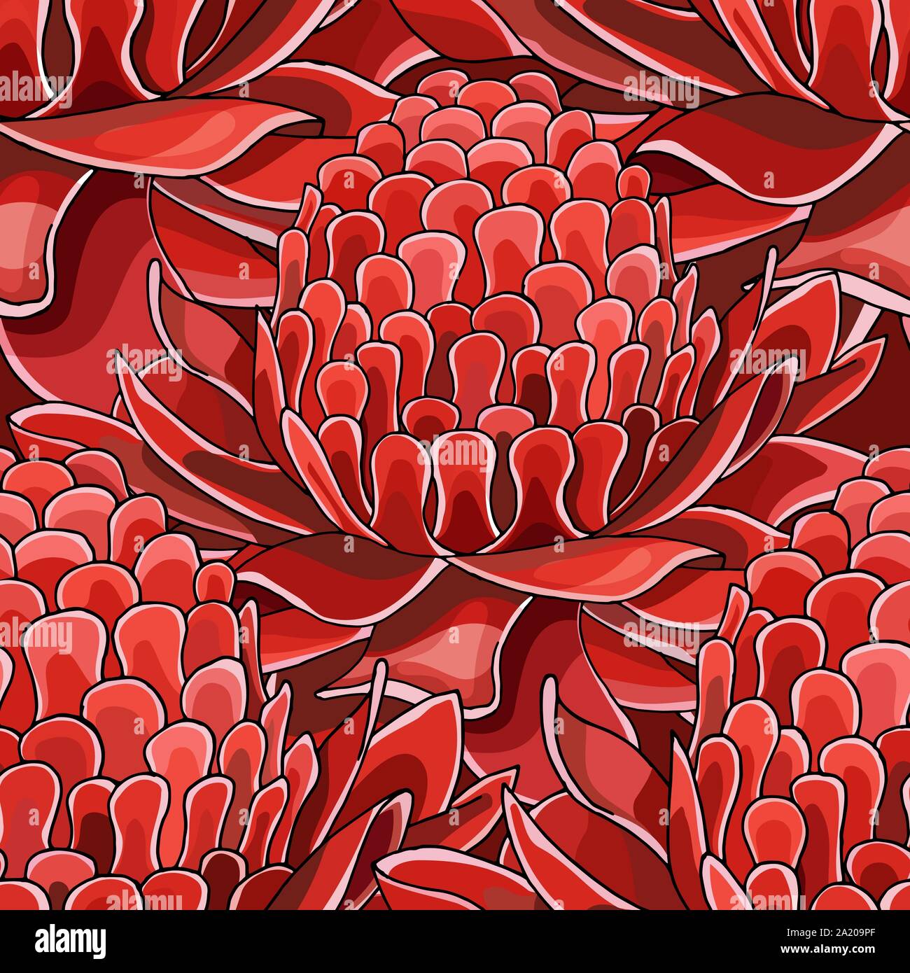 Torch ginger plant Stock Vector Images - Alamy