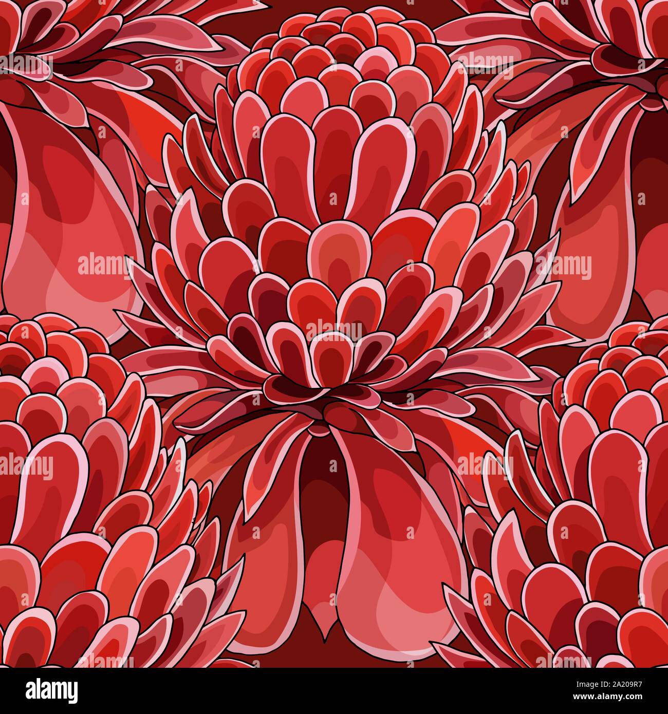 Torch ginger flowers Stock Vector Images - Alamy